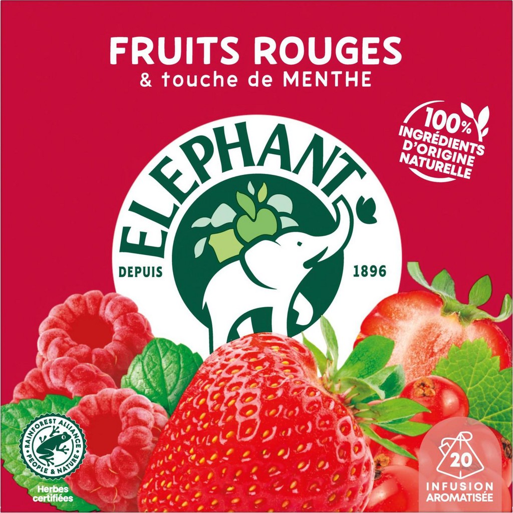 ELEPHANT Infusion fruits rouges touche de menthe – épicerie les 3 gourmets